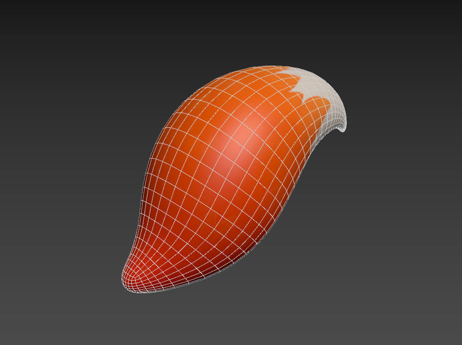 Fox Tail 3D model | CGTrader