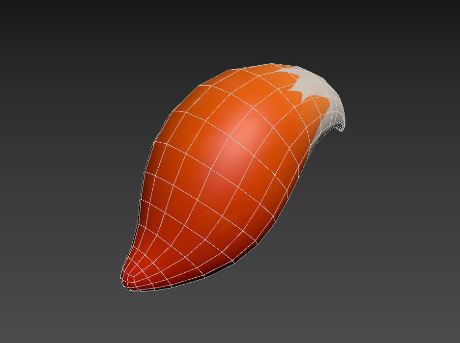 Fox Tail 3D model | CGTrader