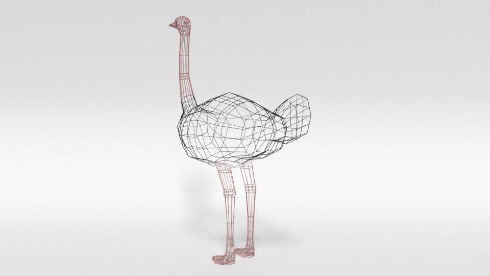 3D model Low Poly Cartoon Ostrich VR / AR / low-poly | CGTrader