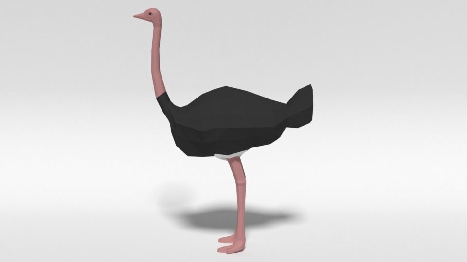 3D model Low Poly Cartoon Ostrich VR / AR / low-poly | CGTrader