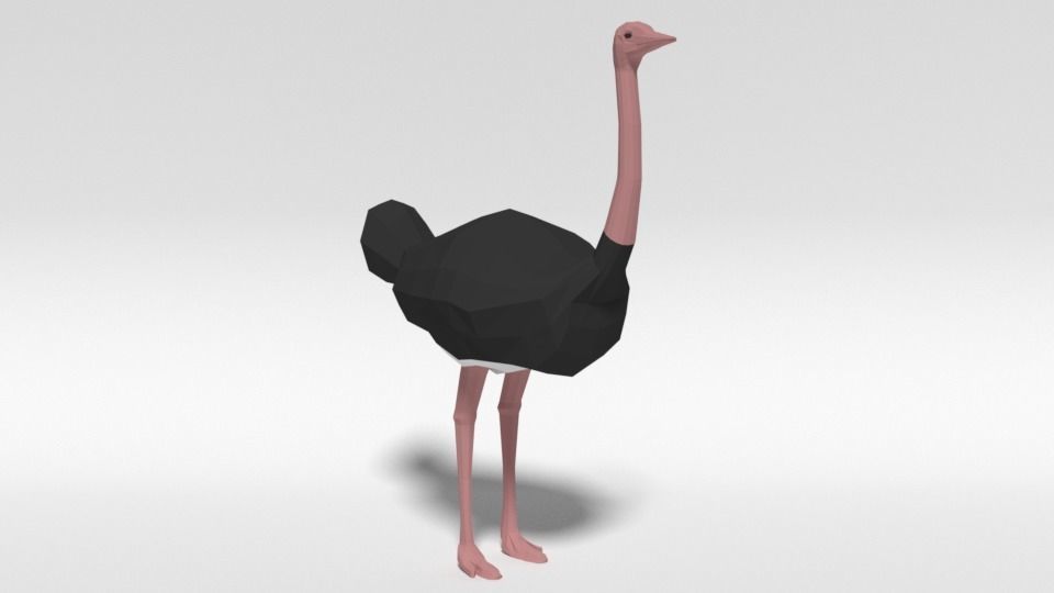 3D model Low Poly Cartoon Ostrich VR / AR / low-poly | CGTrader