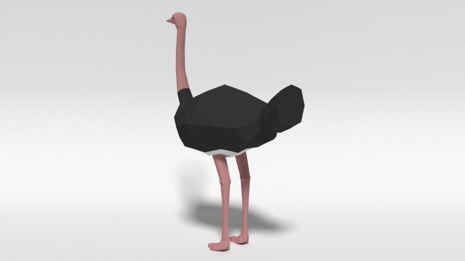 3D model Low Poly Cartoon Ostrich VR / AR / low-poly | CGTrader