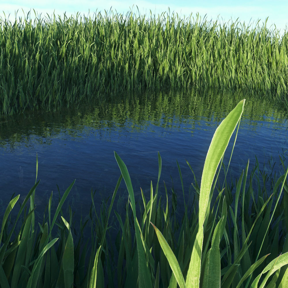 3D model Grass Low Poly 2 VR / AR / low-poly | CGTrader