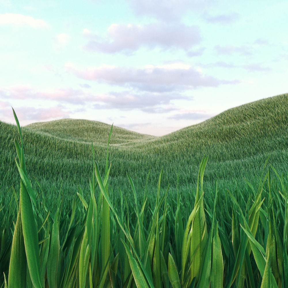 3D model Grass Low Poly 3 VR / AR / low-poly | CGTrader