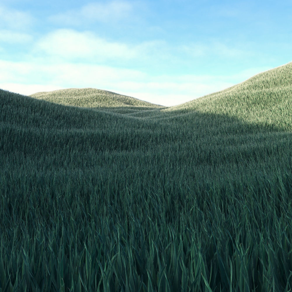 3D model Grass Low Poly 4 VR / AR / low-poly | CGTrader