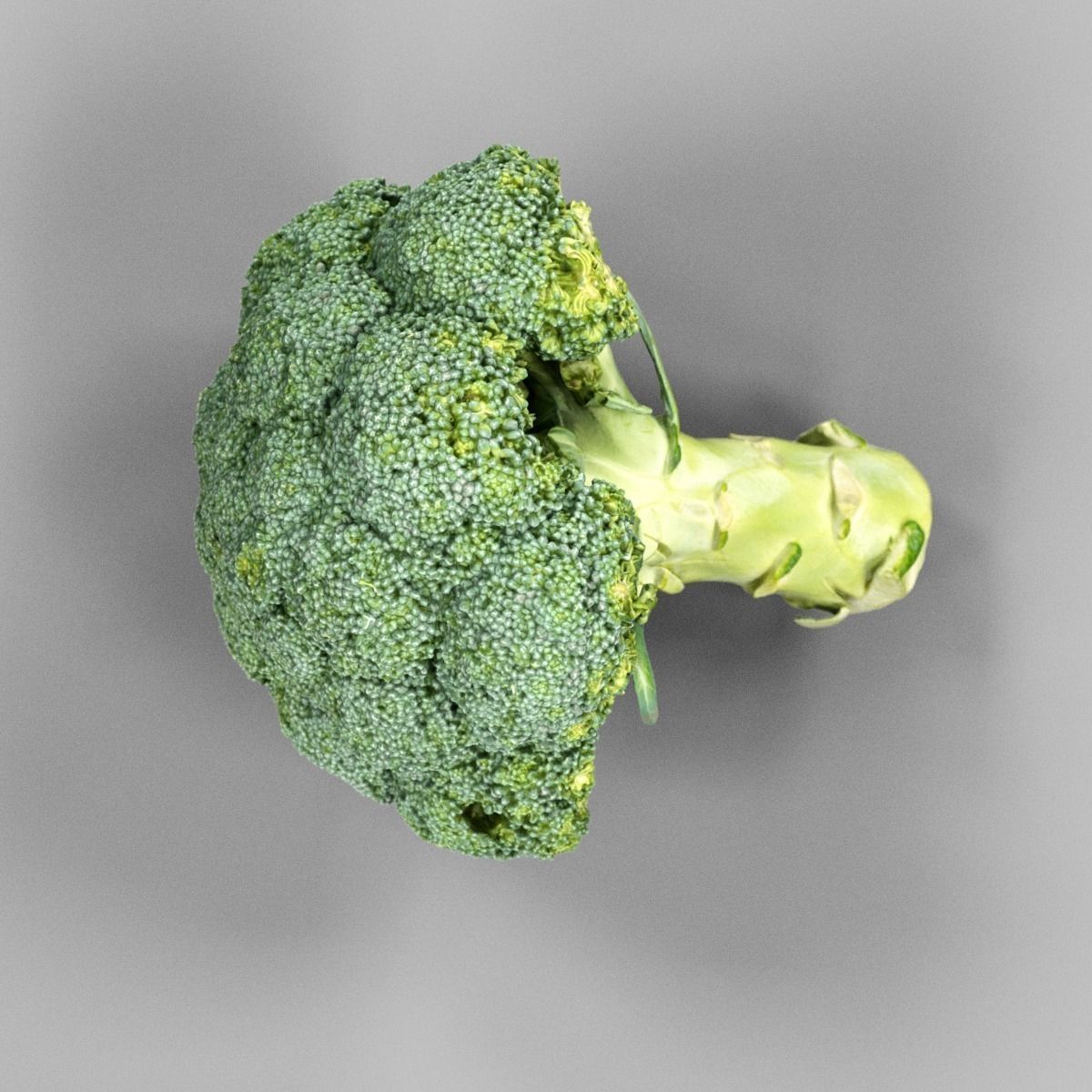 3D model Broccoli piece of VR / AR / low-poly | CGTrader