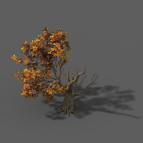 Forest - Trees 13 3D model | CGTrader