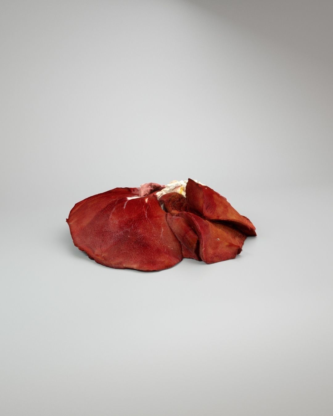 3D model Raw Pig Liver VR / AR / low-poly | CGTrader