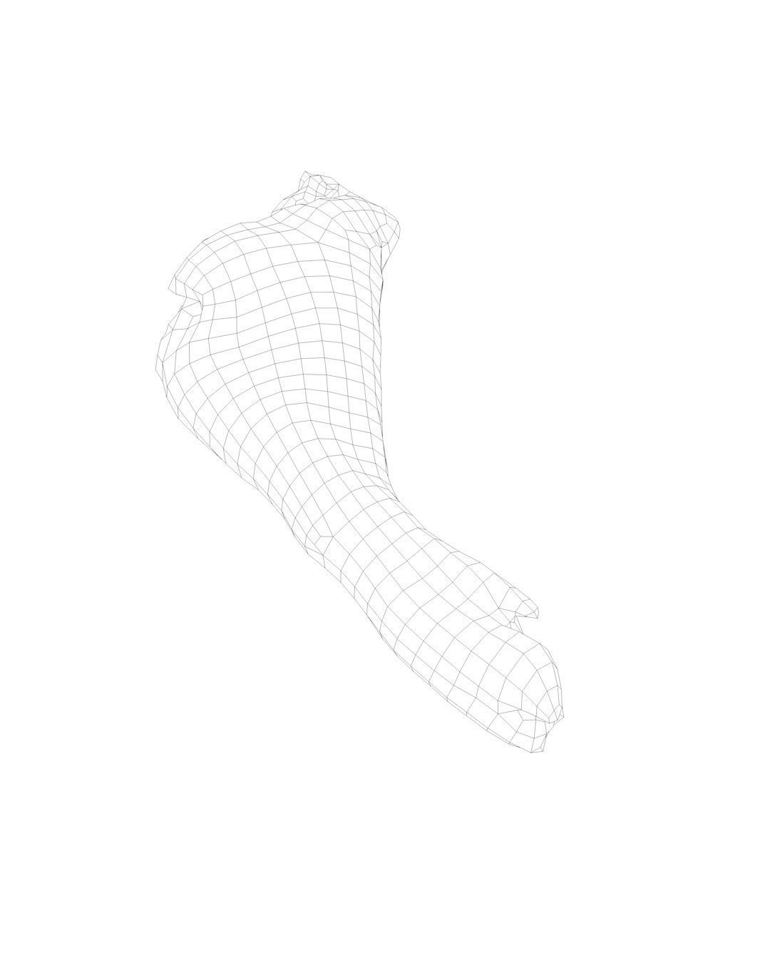 3D model Raw Pig Foot - 3D Scan VR / AR / low-poly | CGTrader