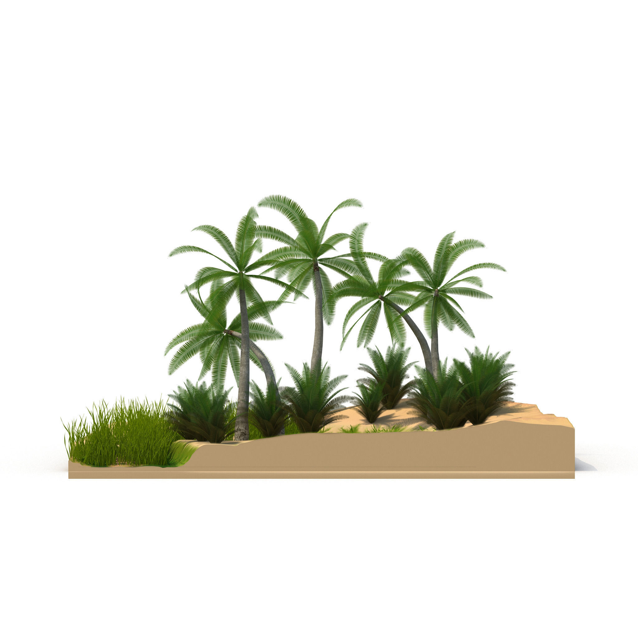 3D model Desert oasis VR / AR / low-poly | CGTrader