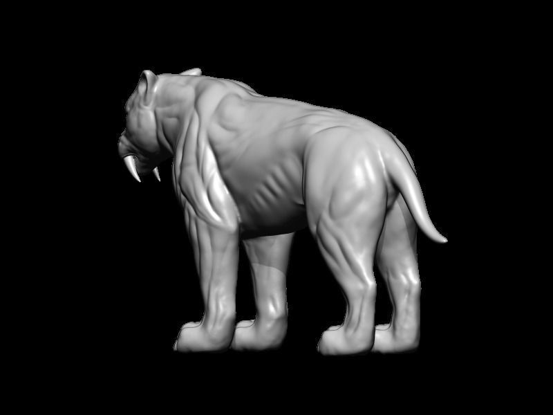 Sabertooth tiger 3D model 3D printable | CGTrader