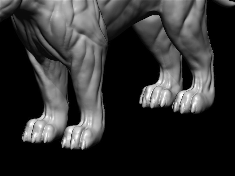 Sabertooth tiger 3D model 3D printable | CGTrader