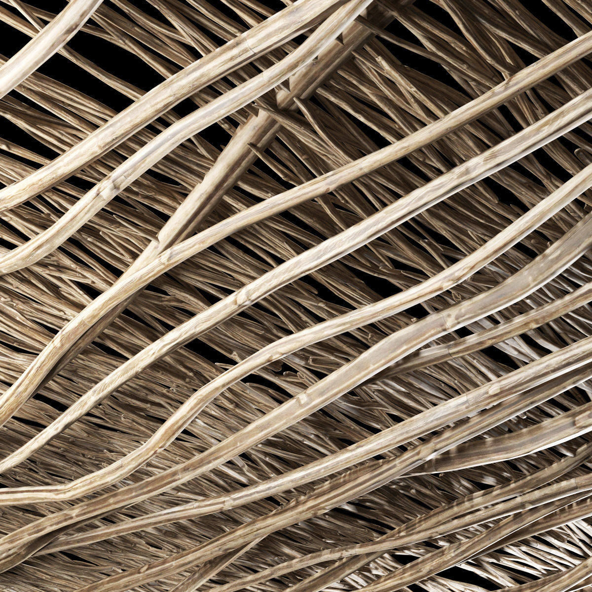 Ceiling crooked branch n2 3D model | CGTrader