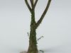 Tree 02 3D model | CGTrader