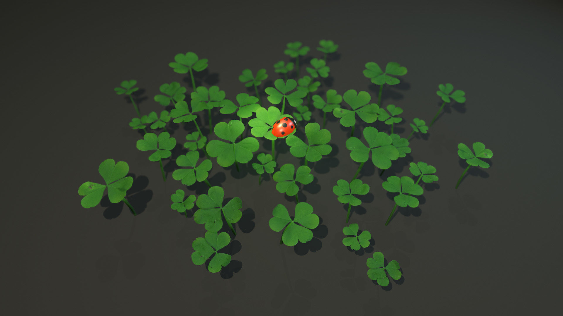 3D model Clover with ladybug VR / AR / low-poly | CGTrader