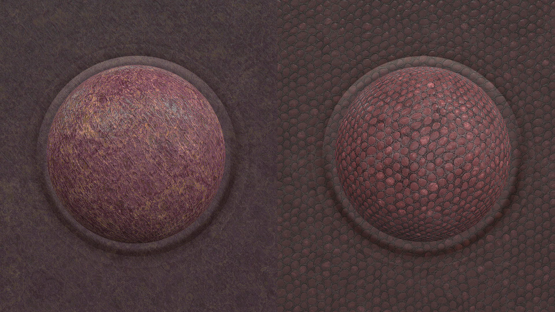 DRAGON PBR Skin Texture | CGTrader