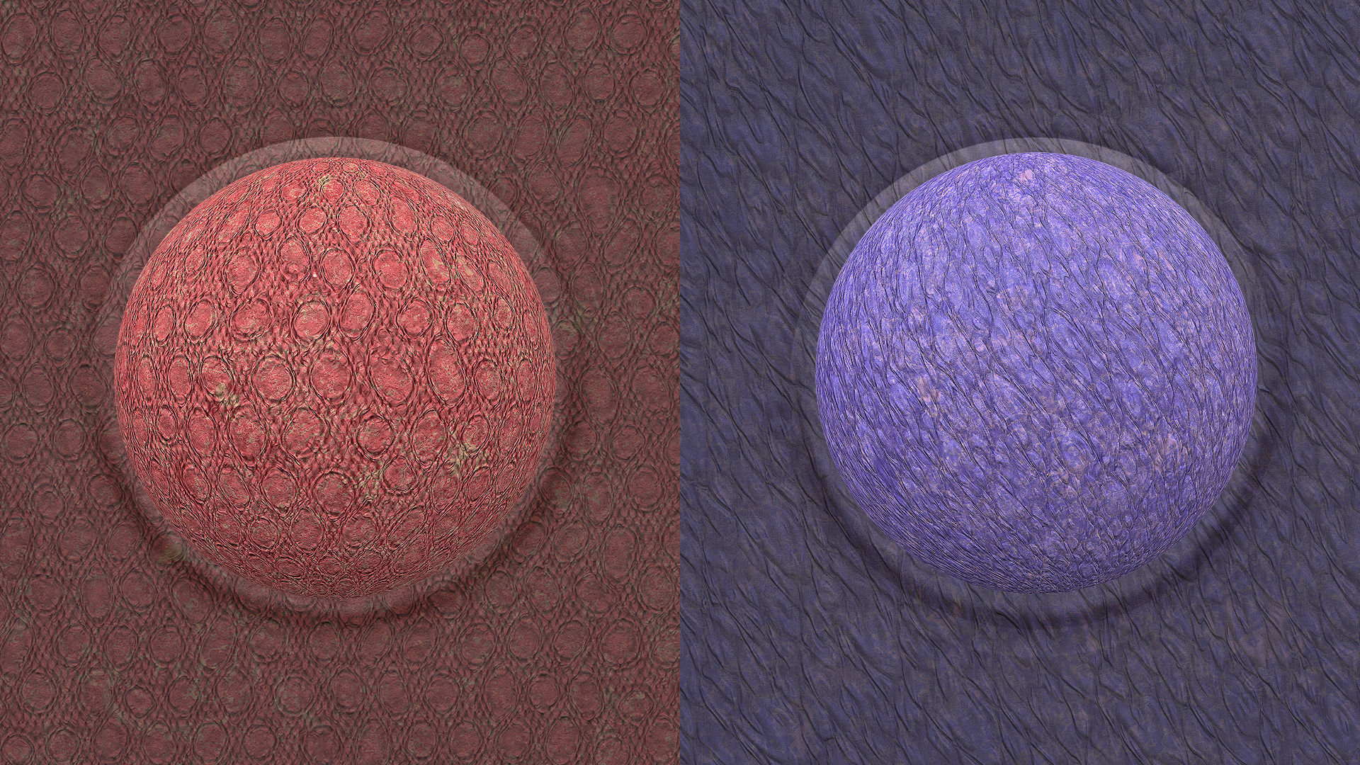 DRAGON PBR Skin Texture | CGTrader