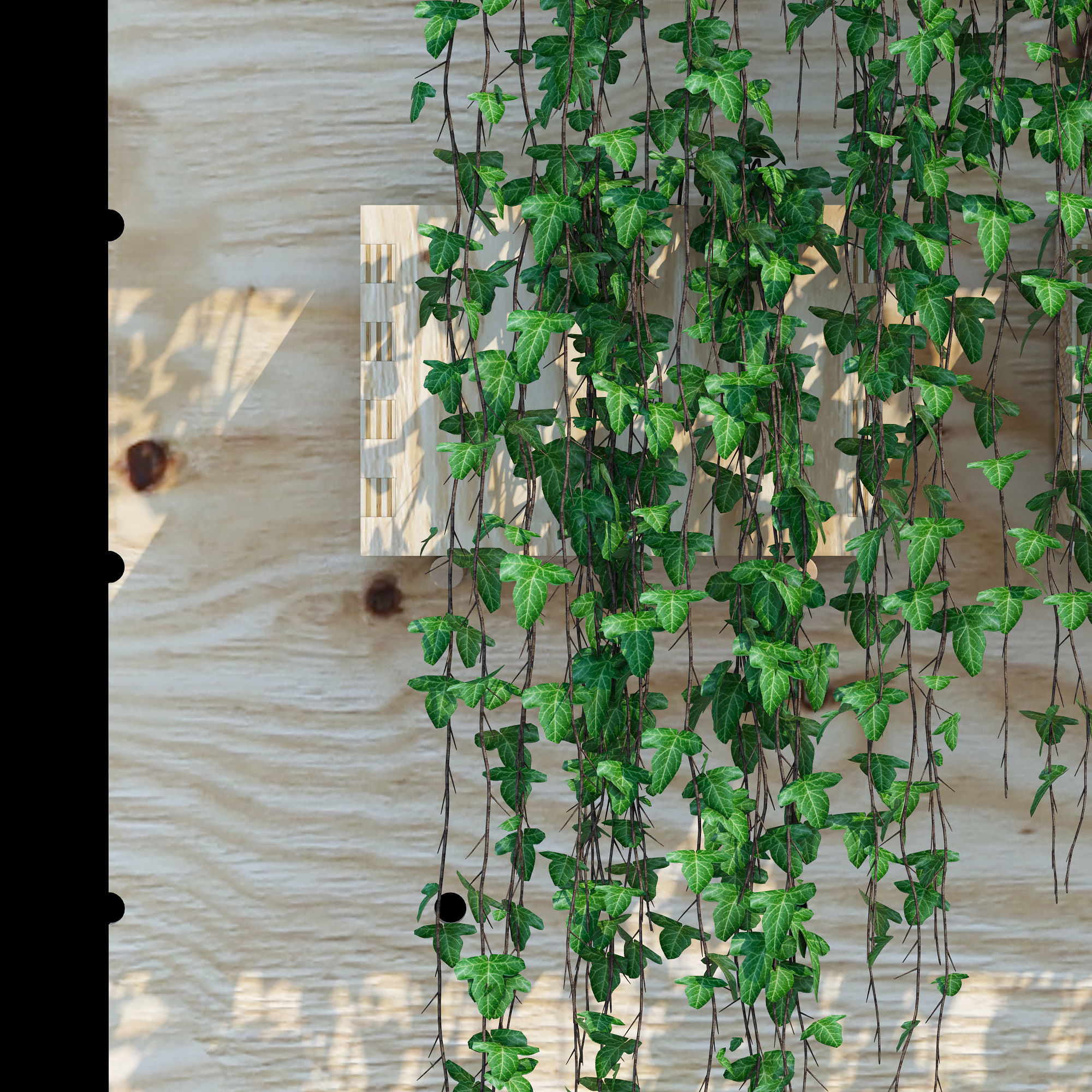 Box ivy 3D model | CGTrader
