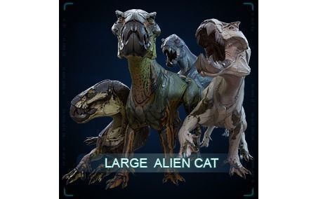 3D model Alien Cat VR / AR / low-poly rigged | CGTrader