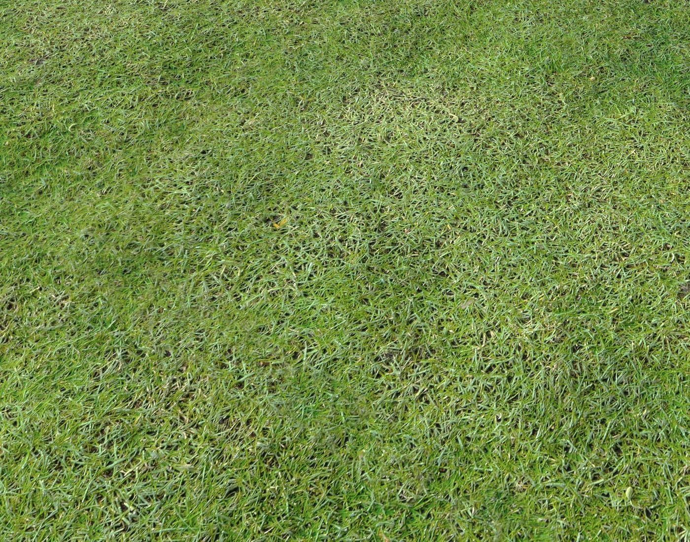 Ground terrain grass PBR pack 7 Texture | CGTrader