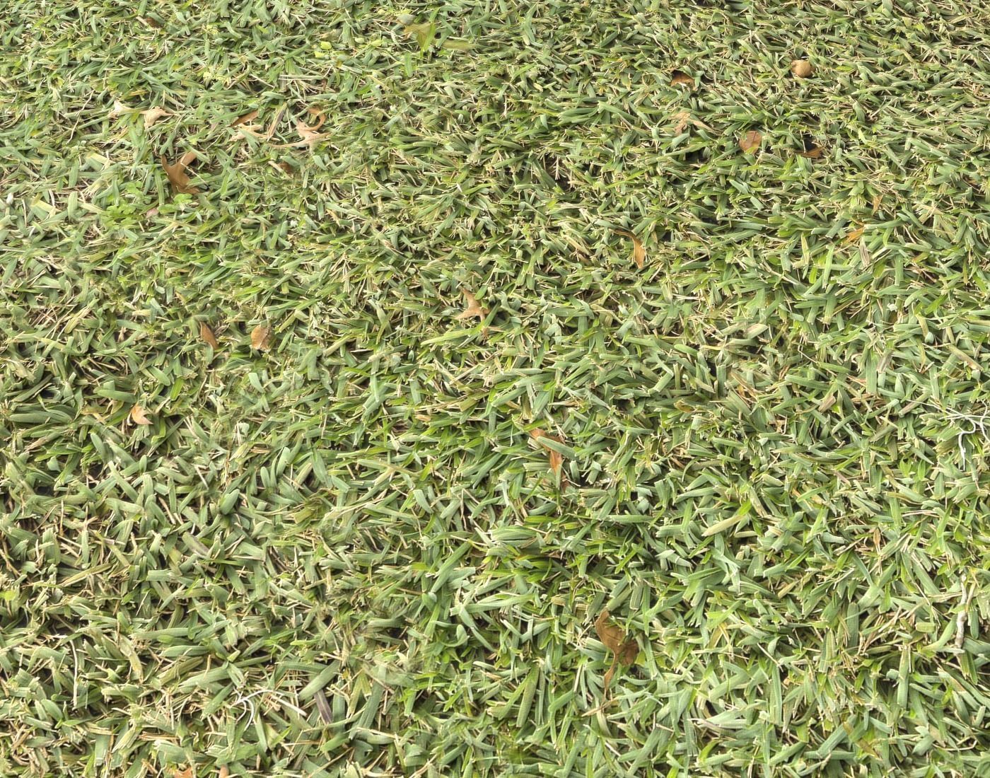 Ground terrain grass PBR pack 7 Texture | CGTrader
