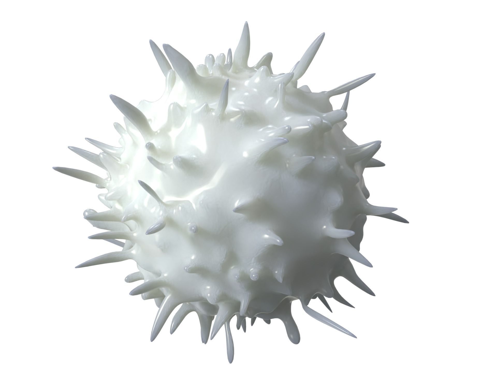 Lymphocytes Pack Bundle 3D model | CGTrader