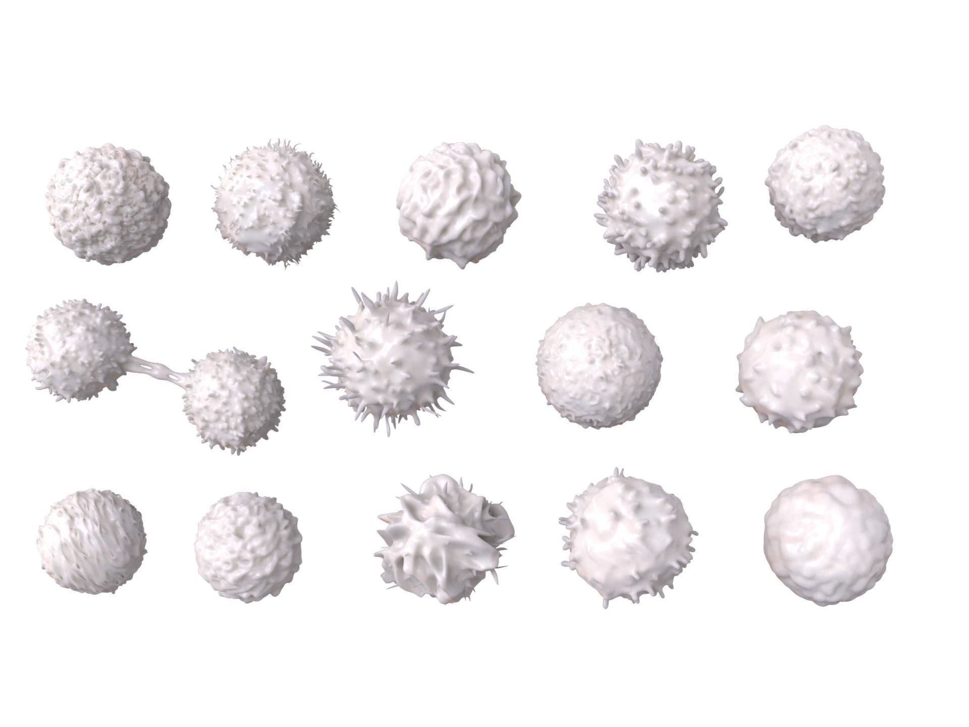 Lymphocytes Pack Bundle 3D model | CGTrader
