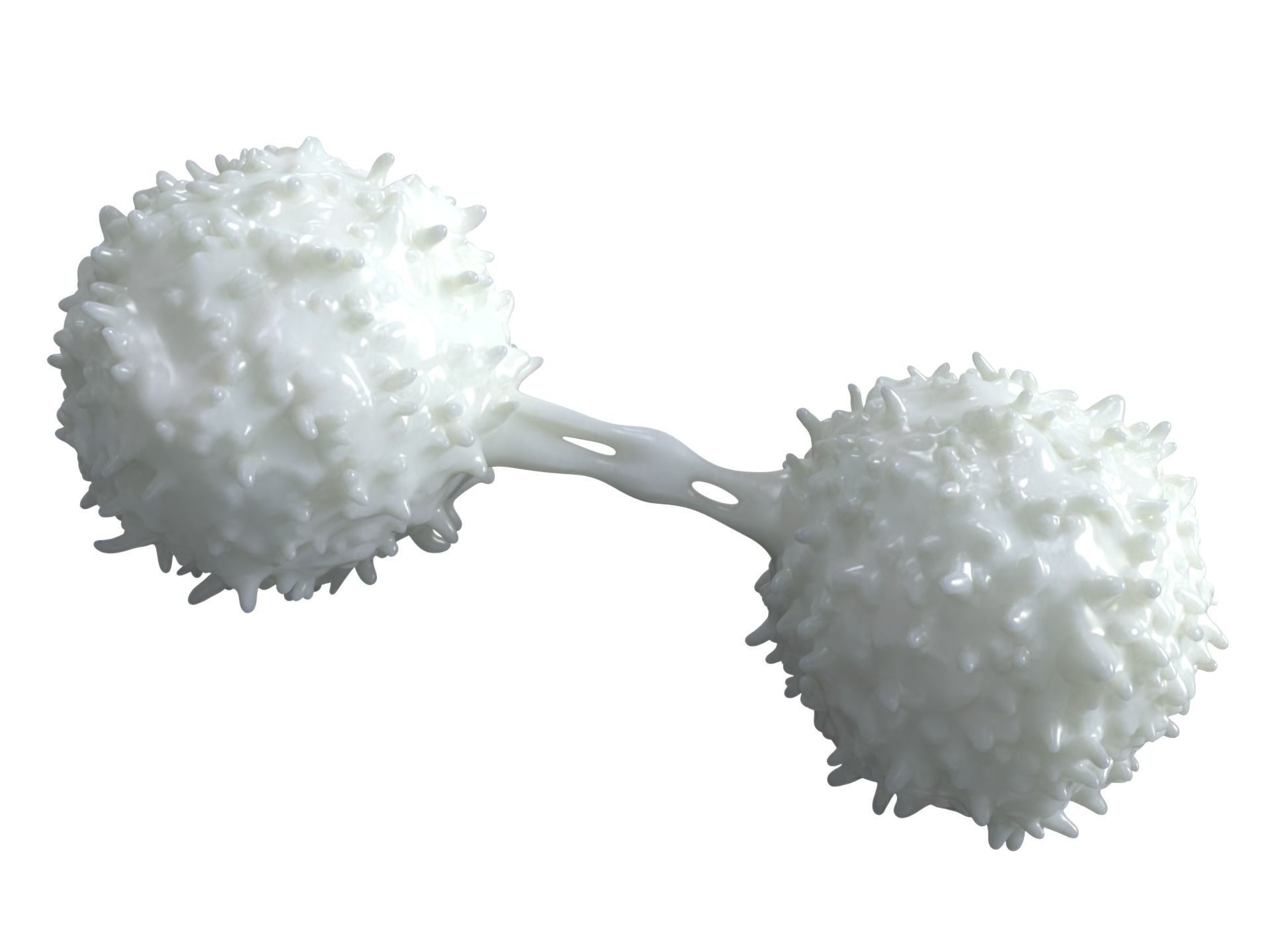Lymphocytes Pack Bundle 3D model | CGTrader