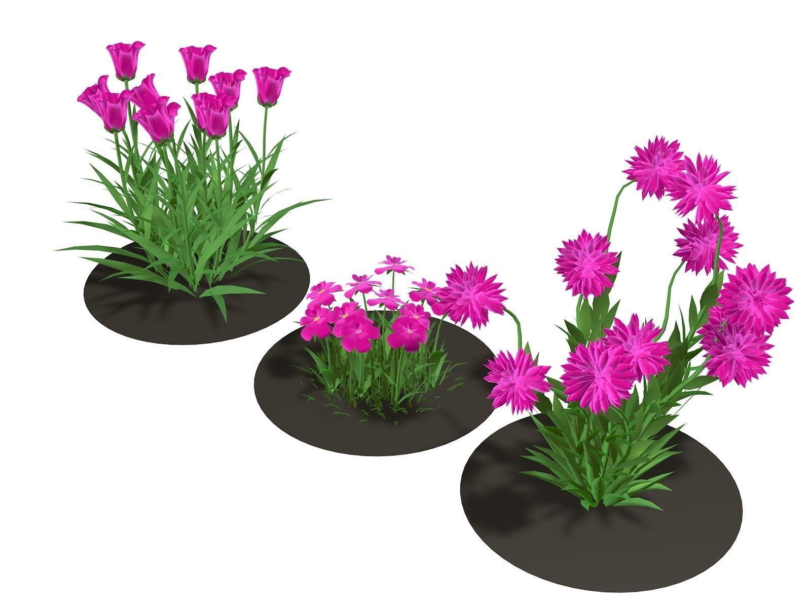 3 Pink FLOWERS 3D model | CGTrader