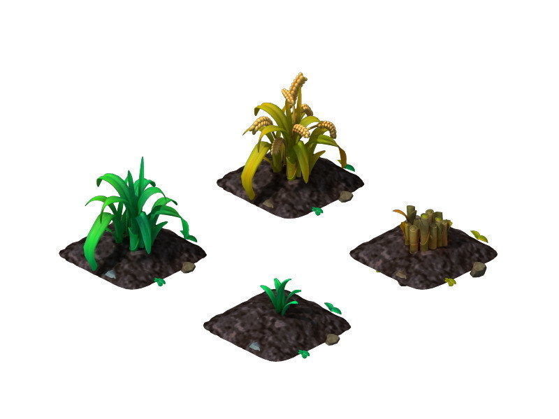 rice Fields 3D model | CGTrader