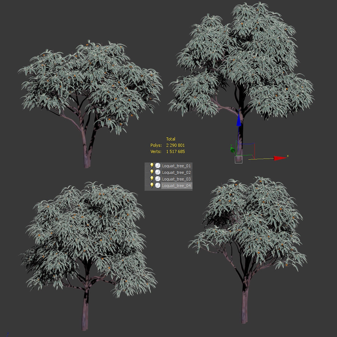 Set of deciduous trees with fruits - medlar - 4 models 3D model | CGTrader