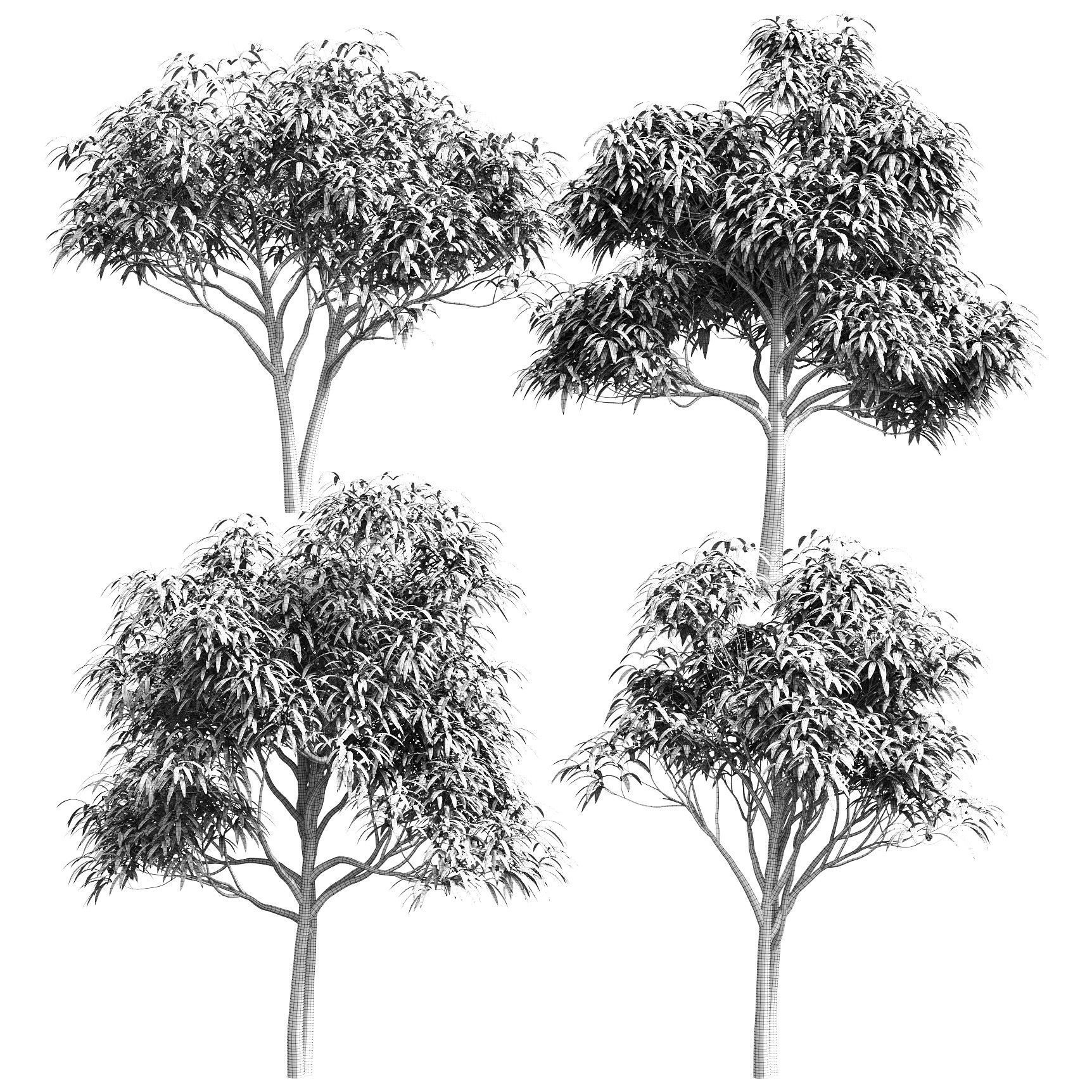 Set of deciduous trees with fruits - medlar - 4 models 3D model | CGTrader