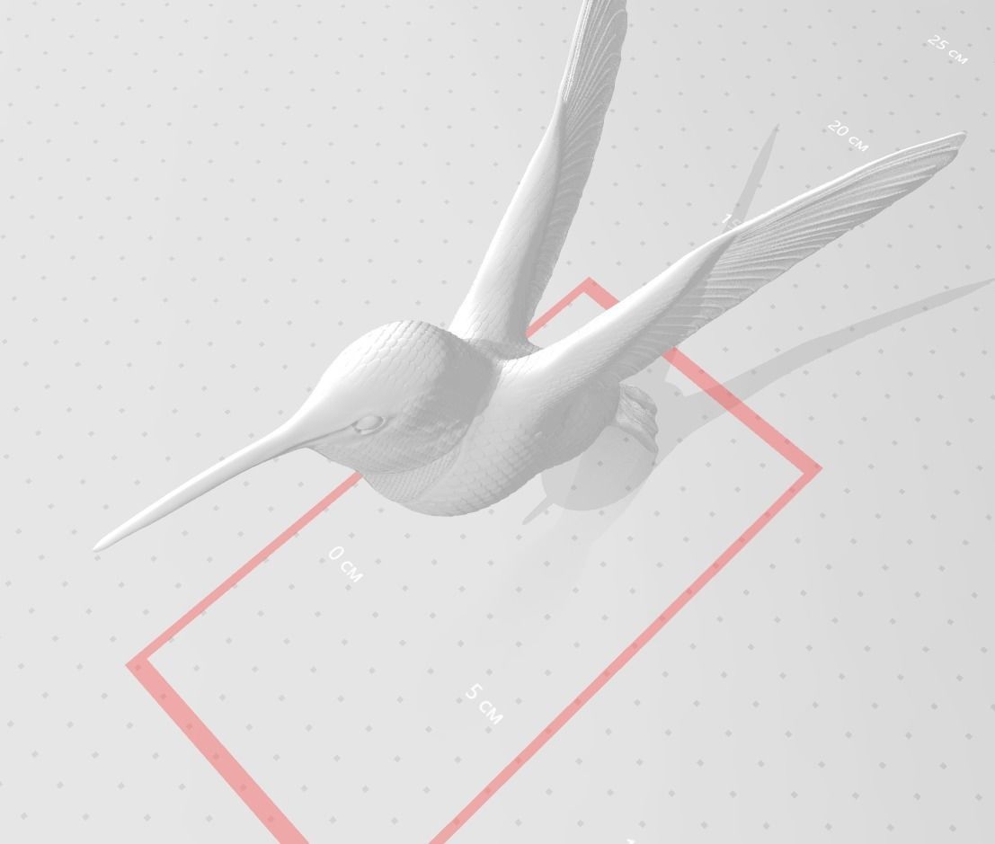 Elegant hummingbird 3D model 3D printable | CGTrader