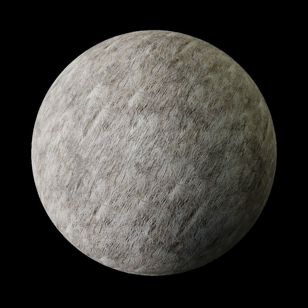 Fur PBR Material Pack 3D model | CGTrader
