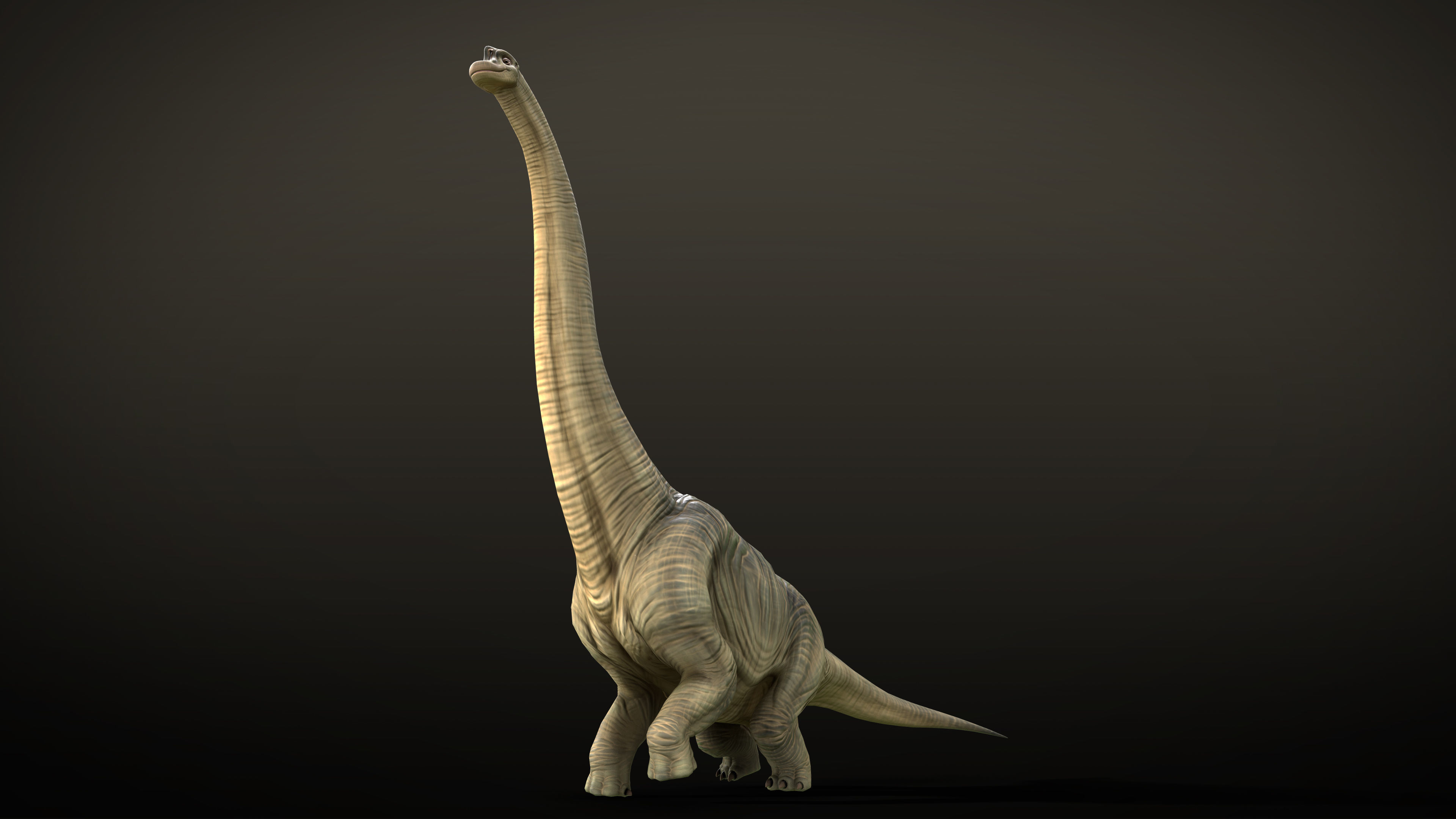 3D model Brachiosaurus Dinosaur Rig and Animations VR / AR / low-poly ...