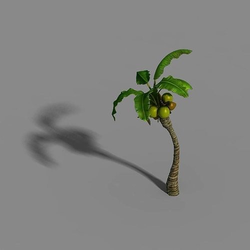 Empty mulberry - coconut tree bend 02 3D model | CGTrader