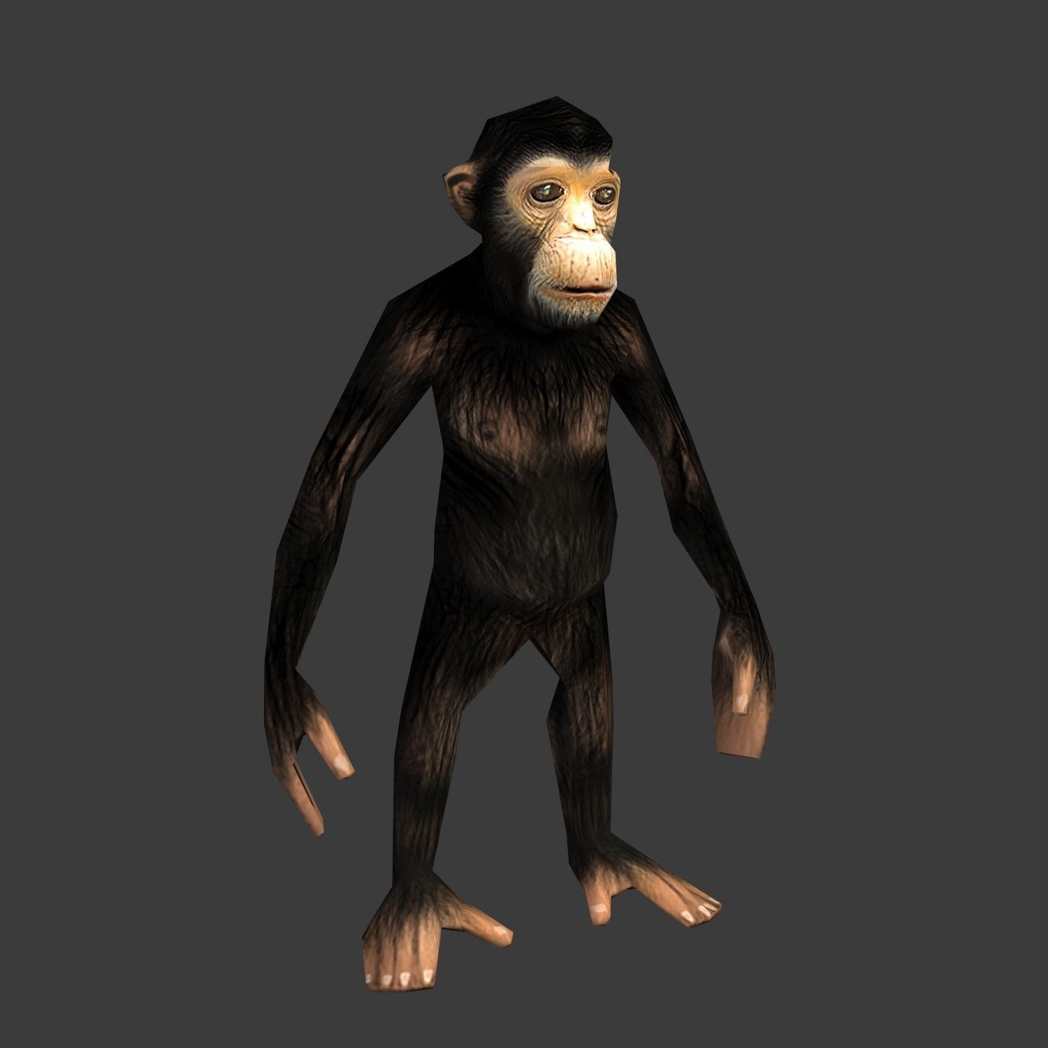 3D model Chimpance chimpanzee VR / AR / low-poly | CGTrader