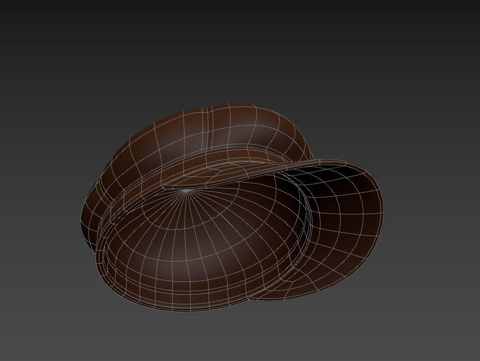 Poor Boy Hat 3D model | CGTrader