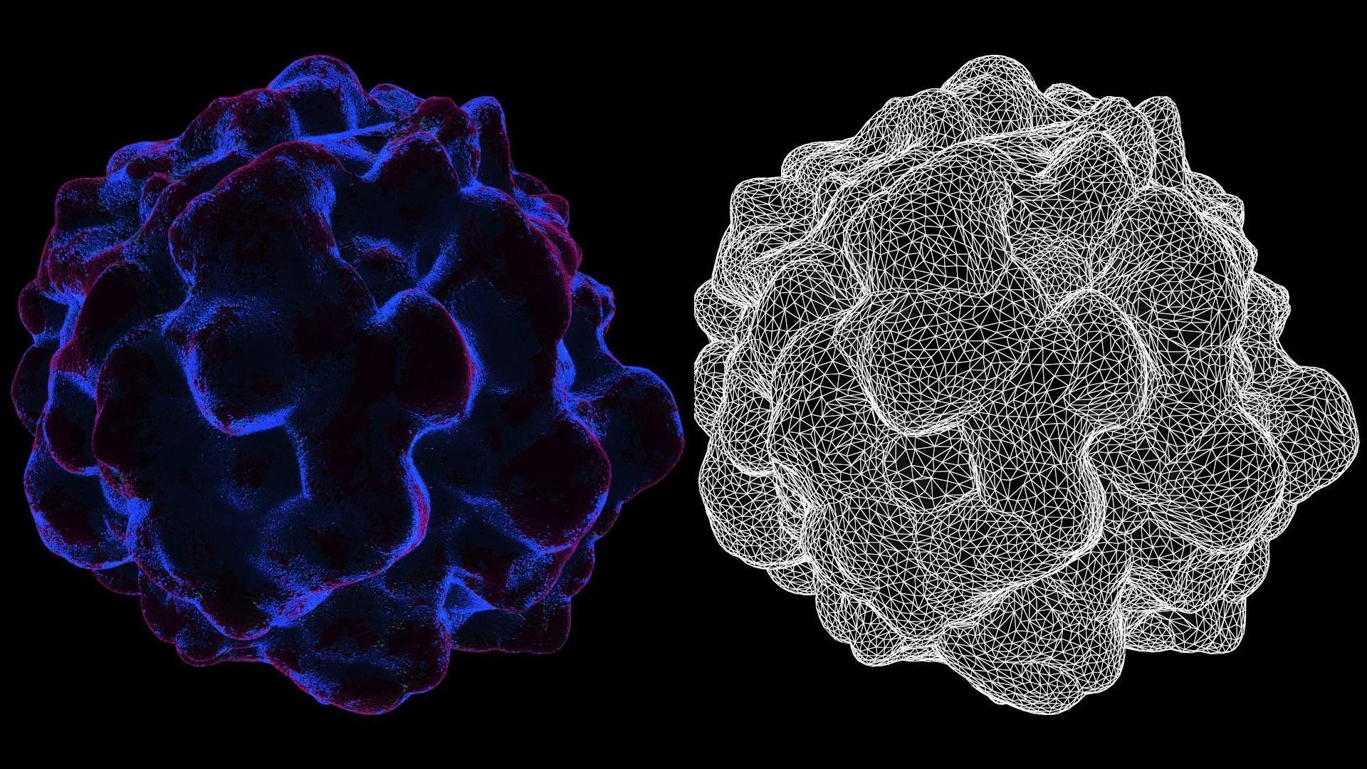 Pack of 24 Alien Virus Bacteria Macrophage Sci Fi Collection 3D model ...