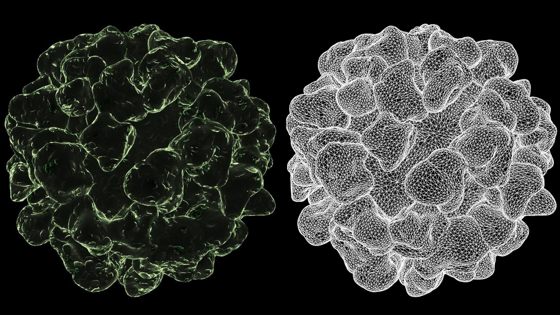 Pack of 24 Alien Virus Bacteria Macrophage Sci Fi Collection 3D model ...