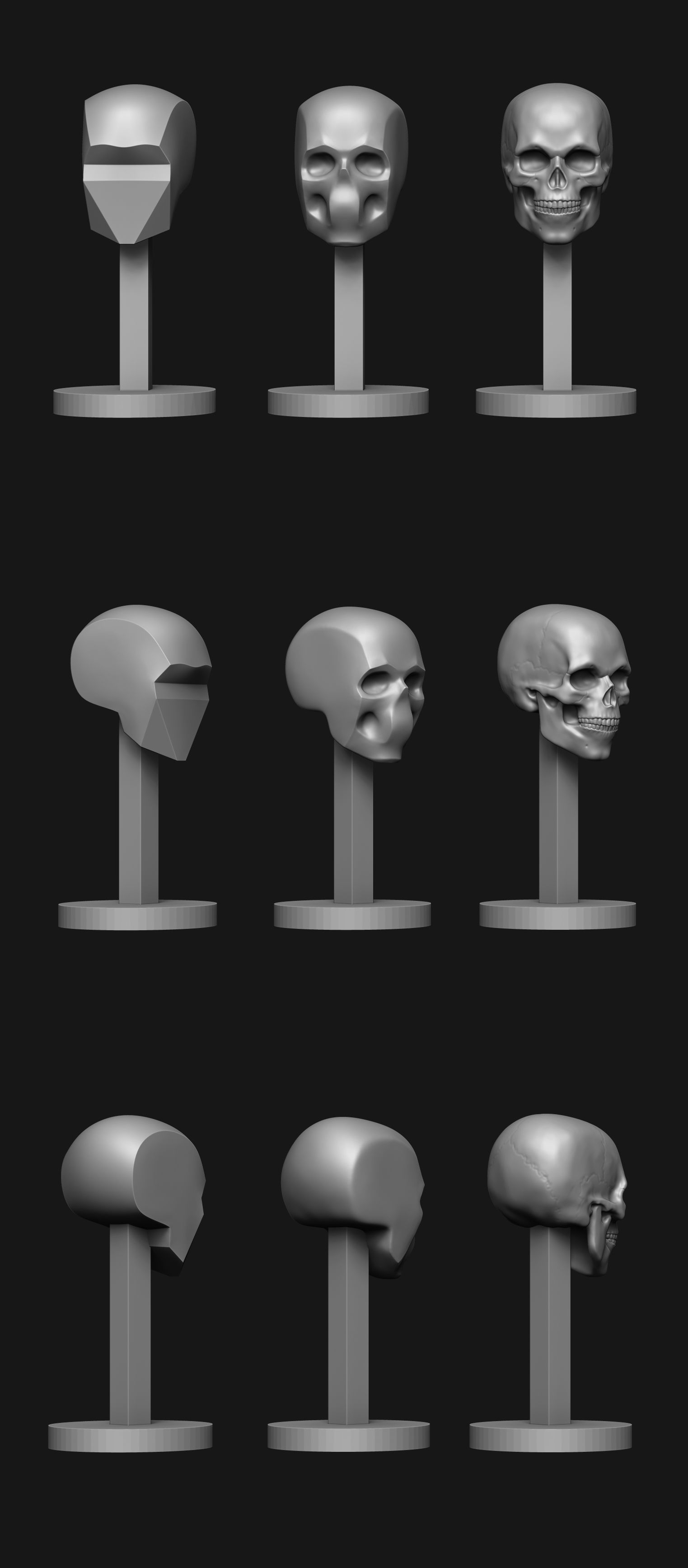 Understanding the skull - pack 3D model 3D printable | CGTrader
