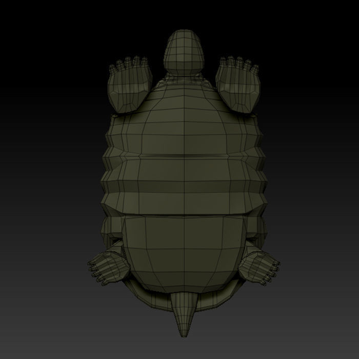 3D model 3D TURTLE - LOW POLY tortoise VR / AR / low-poly | CGTrader