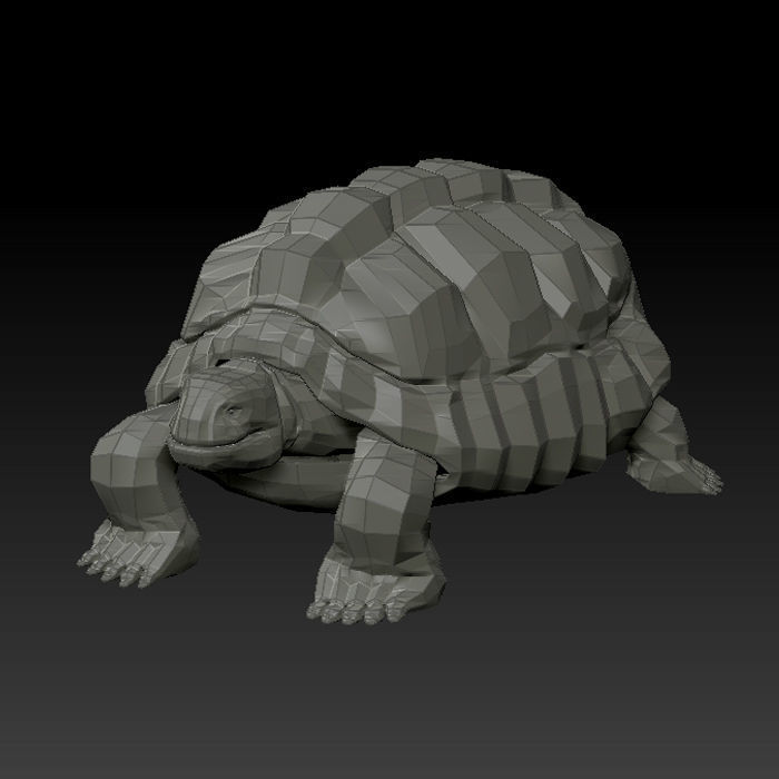 3D model 3D TURTLE - LOW POLY tortoise VR / AR / low-poly | CGTrader