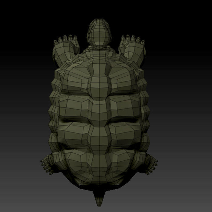 3D model 3D TURTLE - LOW POLY tortoise VR / AR / low-poly | CGTrader