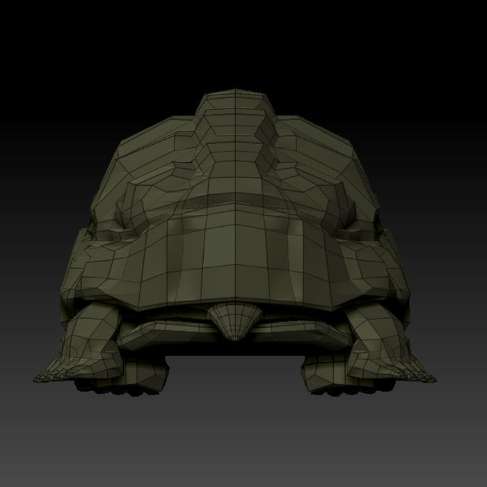 3D model 3D TURTLE - LOW POLY tortoise VR / AR / low-poly | CGTrader