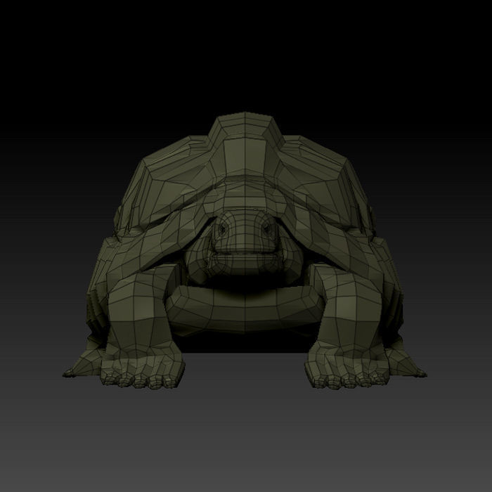 3D model 3D TURTLE - LOW POLY tortoise VR / AR / low-poly | CGTrader