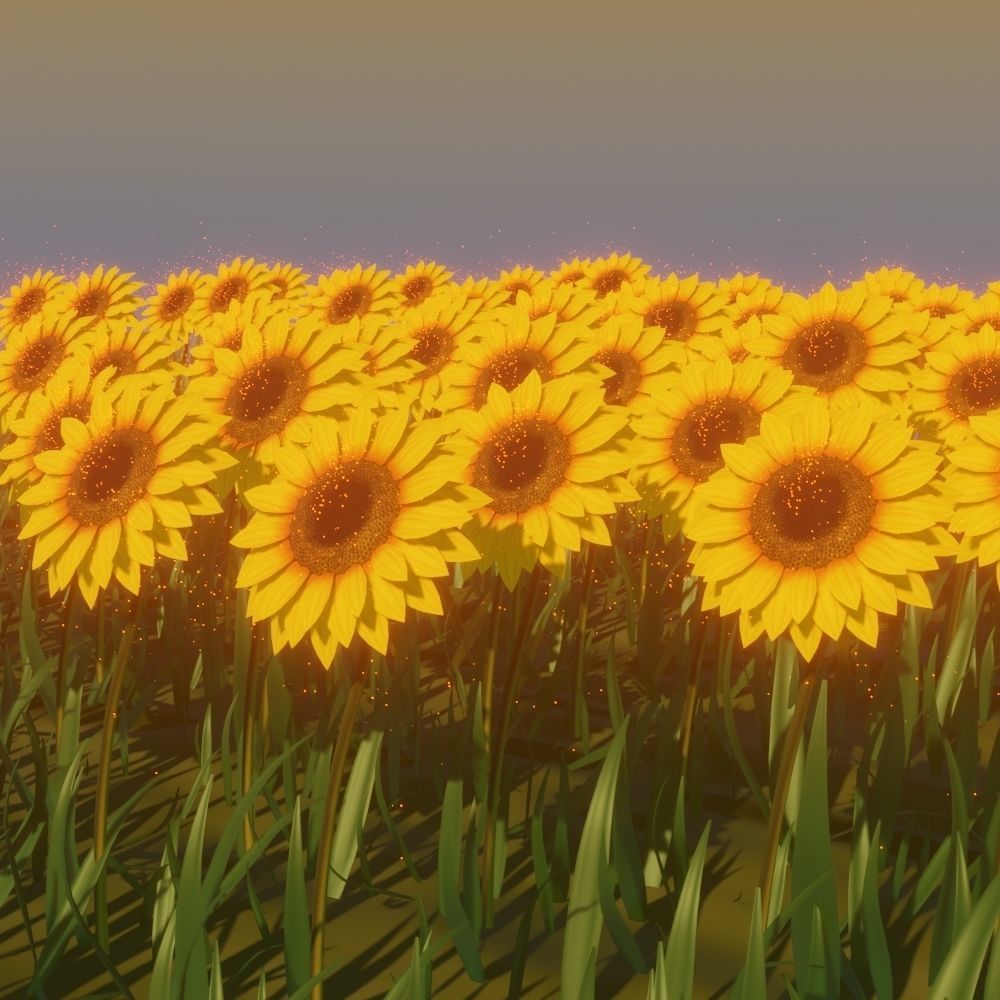 sunflower 3D model animated rigged | CGTrader