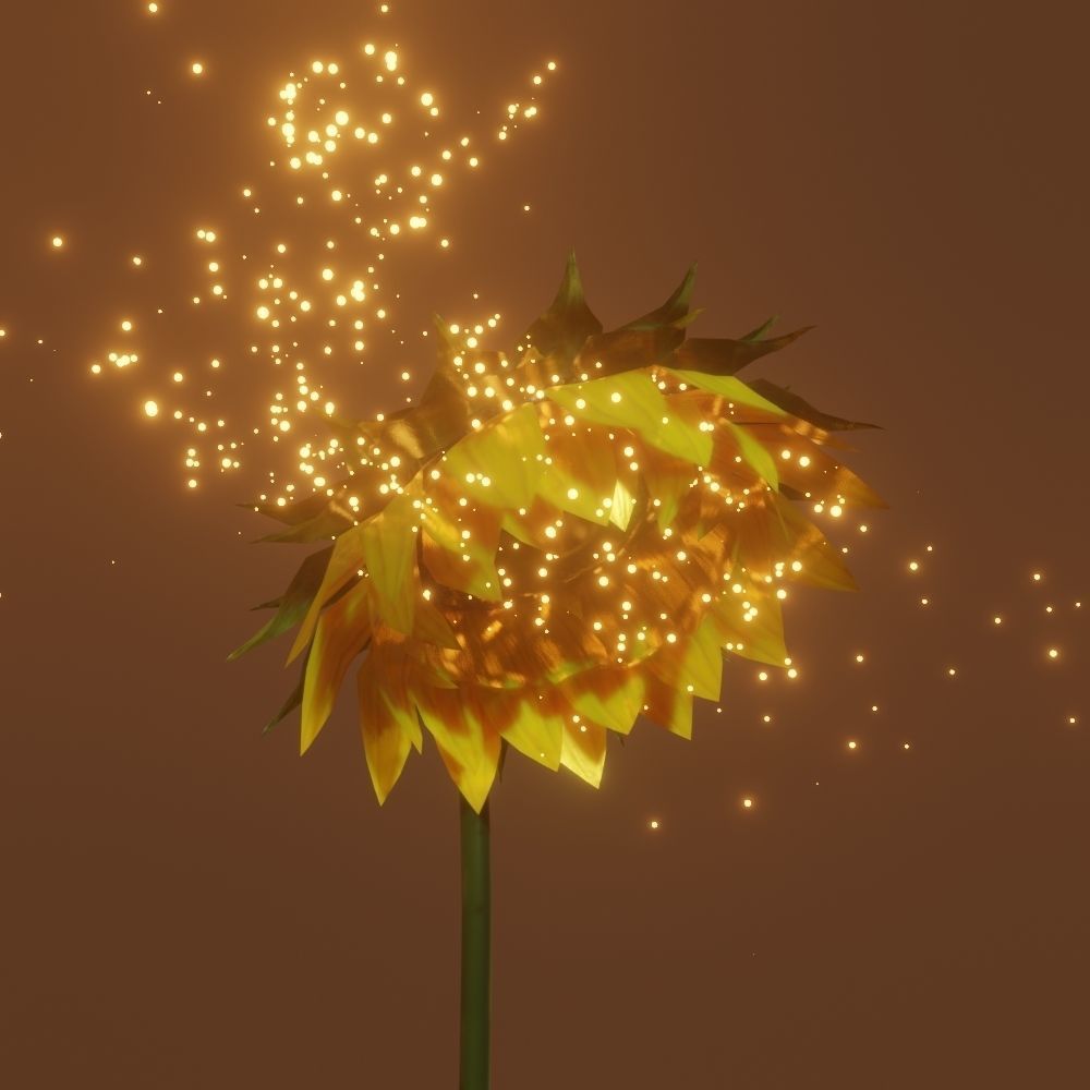 sunflower 3D model animated rigged | CGTrader
