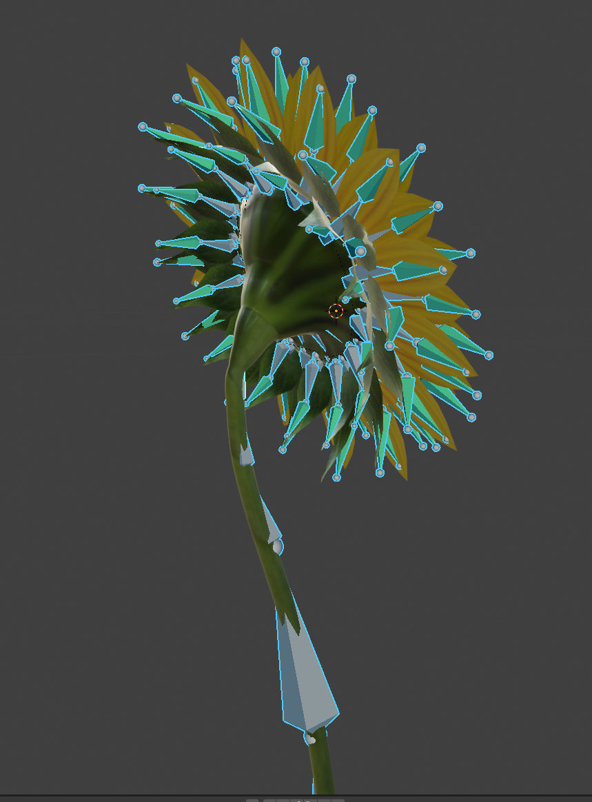sunflower 3D model animated rigged | CGTrader