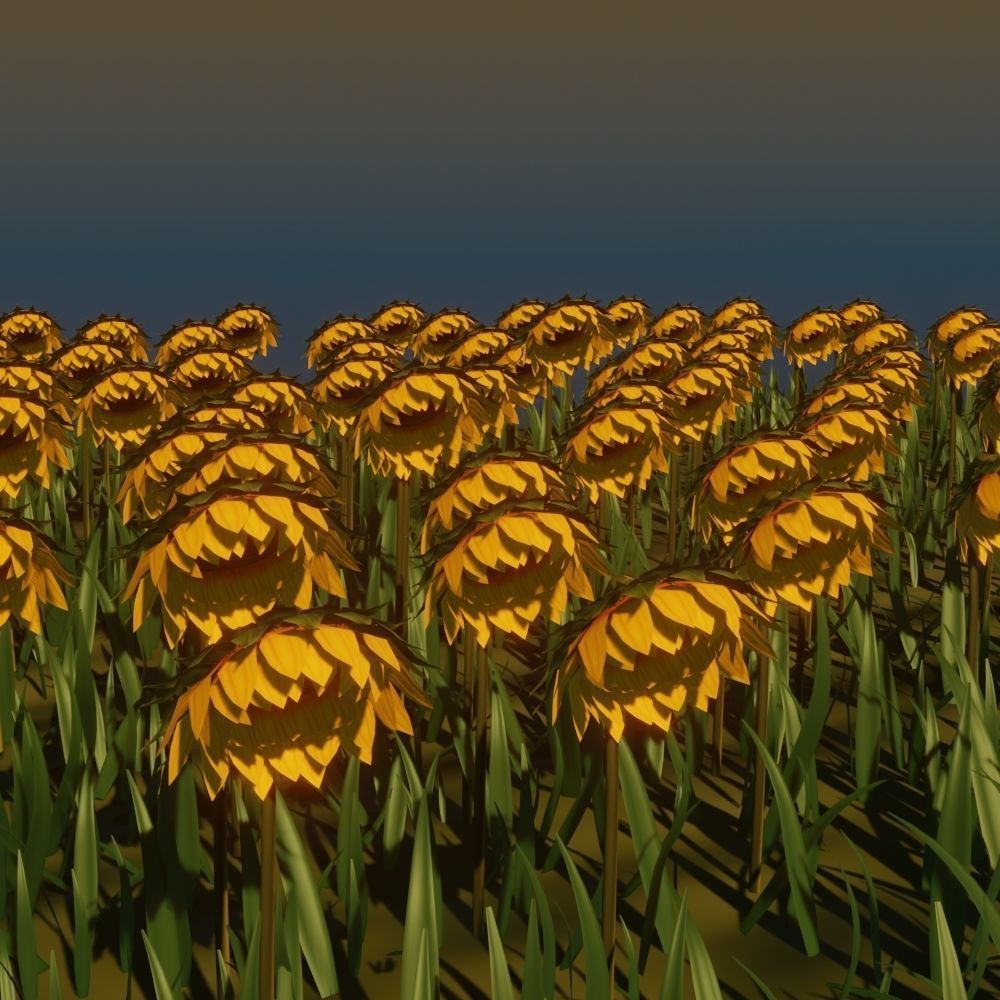 sunflower 3D model animated rigged | CGTrader